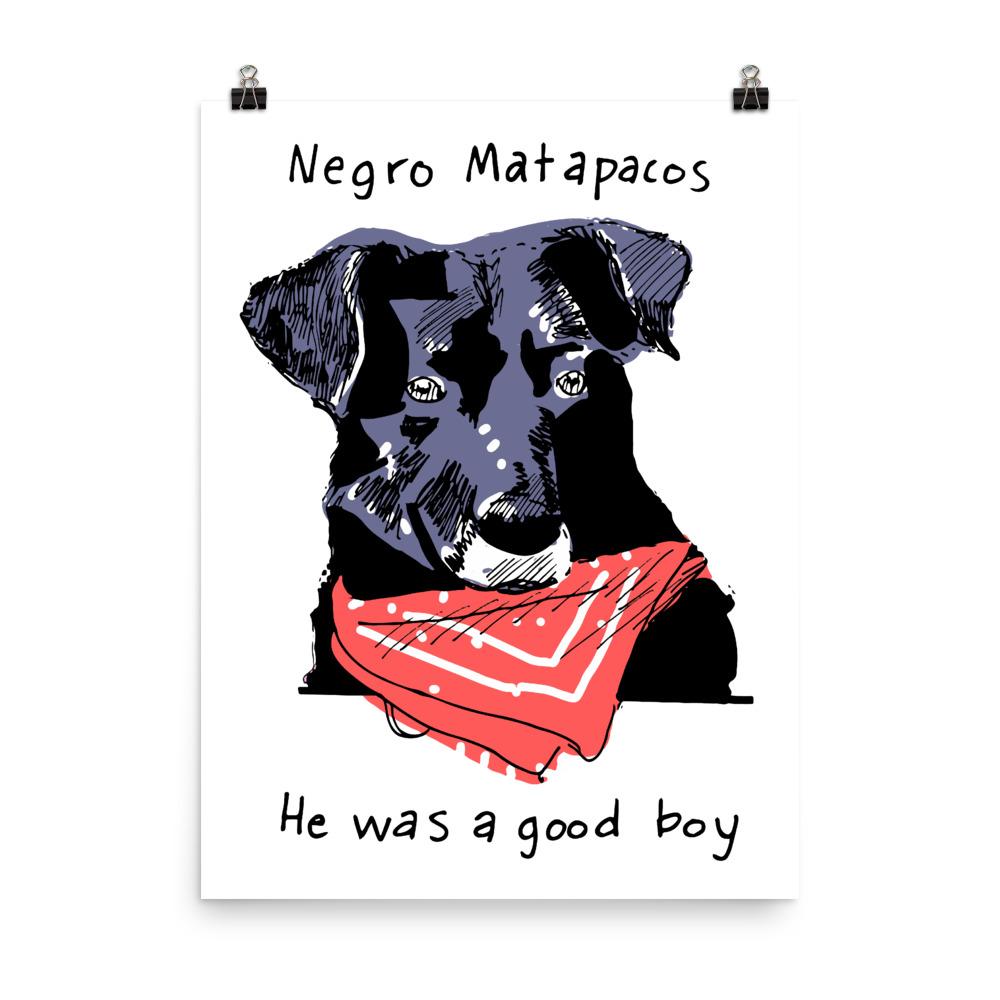 Negro Matapacos: Chile’s “riot dog” – Working Class History